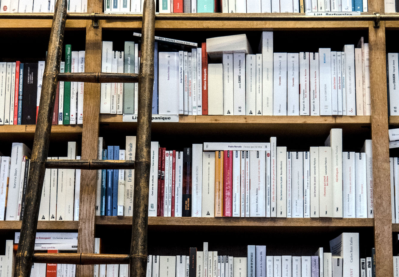 Content Page - Autism Legal Resource Center